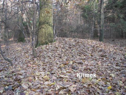 Zobacz wątek - Racibórz Obora, kurhany • Eksploratorzy